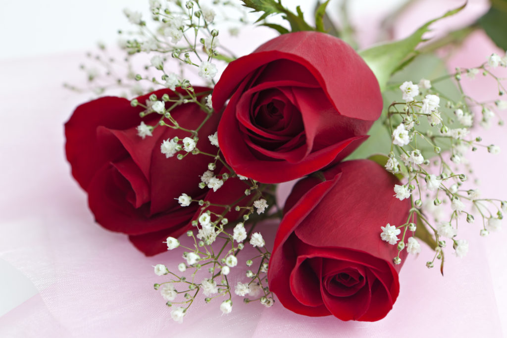 Funeral wake venues in Sheffield | Mercure Sheffield Parkway Hotel